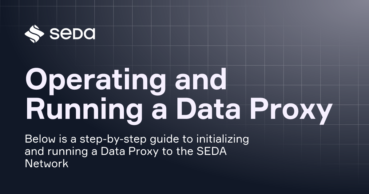 Operating and Running a Data Proxy | SEDA Network Home